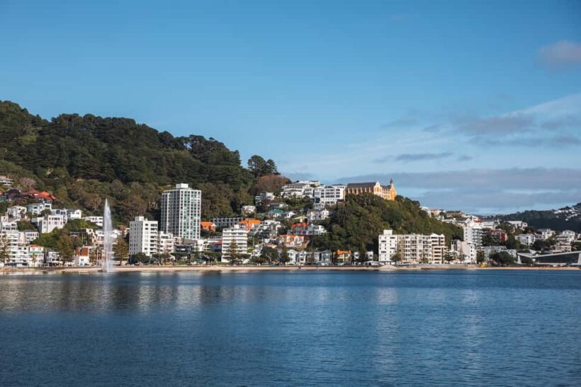 Wellington: Commentated Harbour Explorer tour - The Experience in Detail