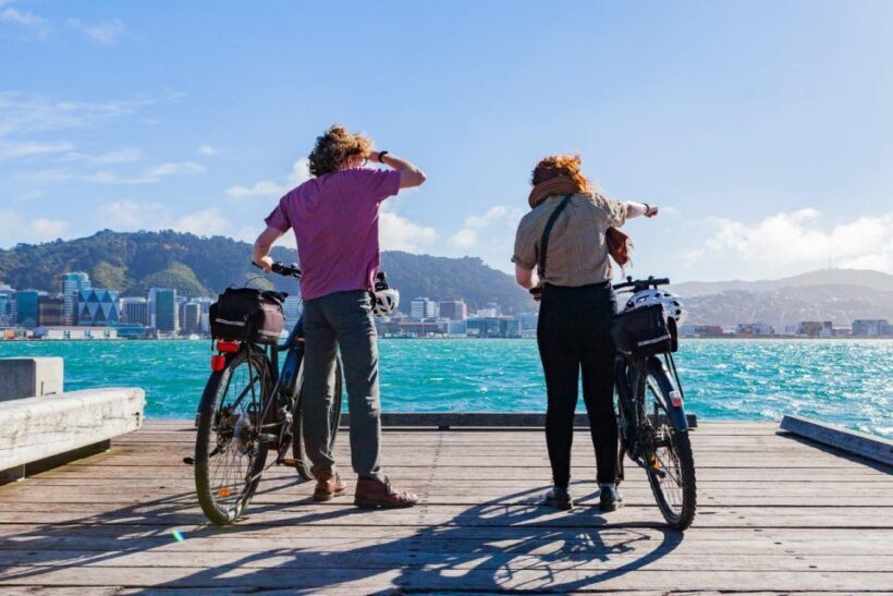 Wellington: Easy Rider Guided eBike Tour - Who Would Love This Tour?