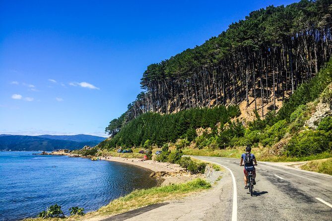 Wellington Electric Bike Rental - Exploring Wellington on Two Wheels: What to Expect