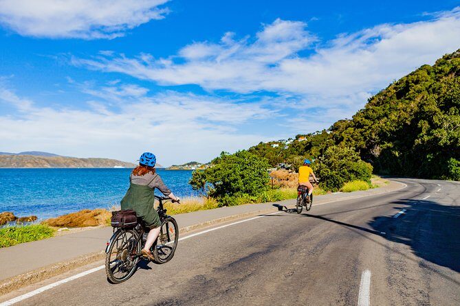 Wellington Electric Bike Rental - Practical Tips for Your Wellington E-Bike Adventure
