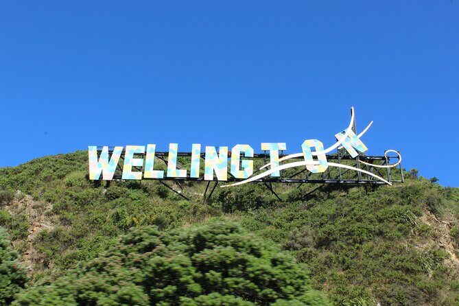 Wellington Full Day Private Tour in Electric Tesla SUV - The Value of a Private, Fully Inclusive Tour