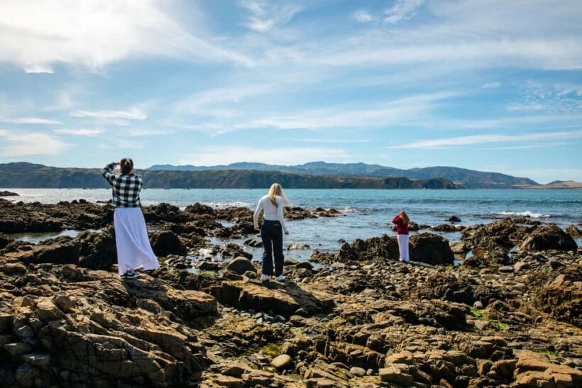 Wellington: Guided City Tour with Cable Car Ticket - Key Points