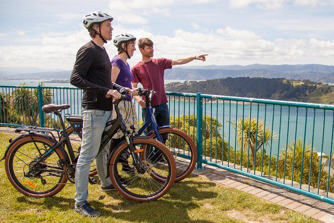 Wellington Guided eBike Tour-Cruise Shore Excursion - Who Will Enjoy This Tour?