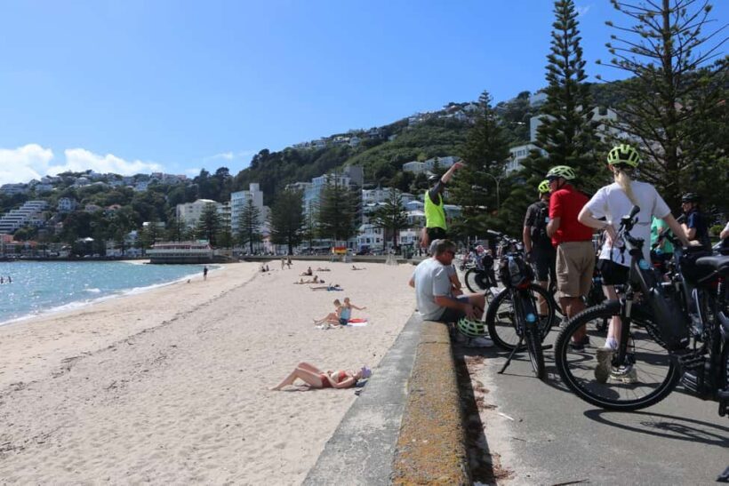 Wellington: Guided Sightseeing Tour by Electric Bike - What the Reviews Tell Us