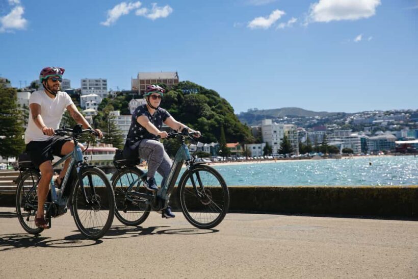 Wellington: Guided Sightseeing Tour by Electric Bike - Who Is This Tour Best For?