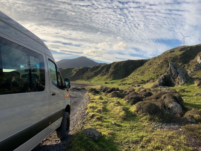 Wellington: Half Day Seal Coast Safari - An In-Depth Look at the Wellington Seal Coast Safari