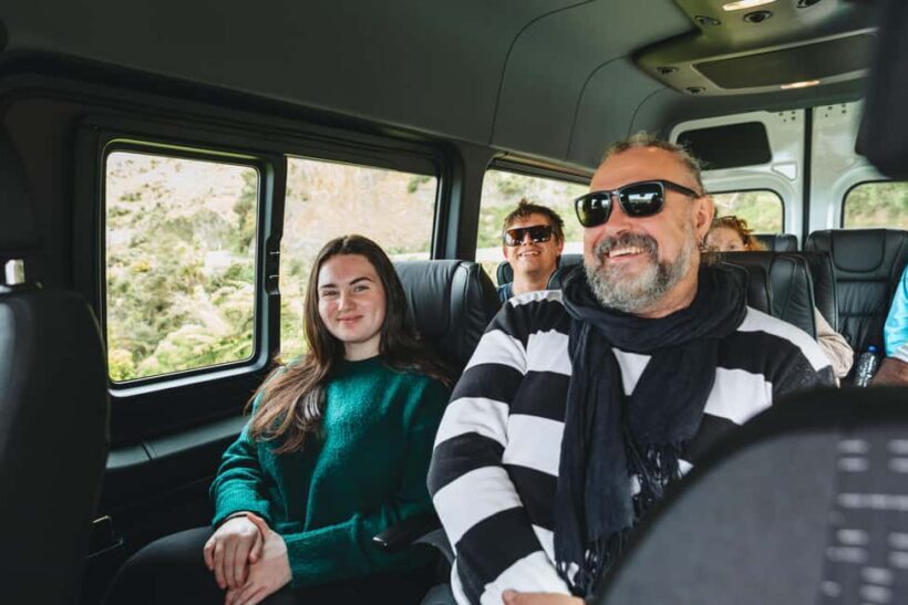 Wellington: Half Day Seal Coast Safari - Who Will Love This Tour?