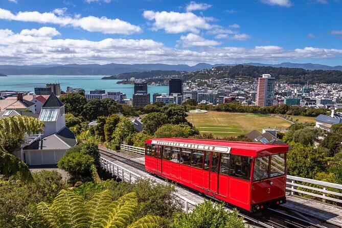 Wellington Heritage Explorer - Wellington Heritage Explorer: A Balanced Look at the Capital’s Charm