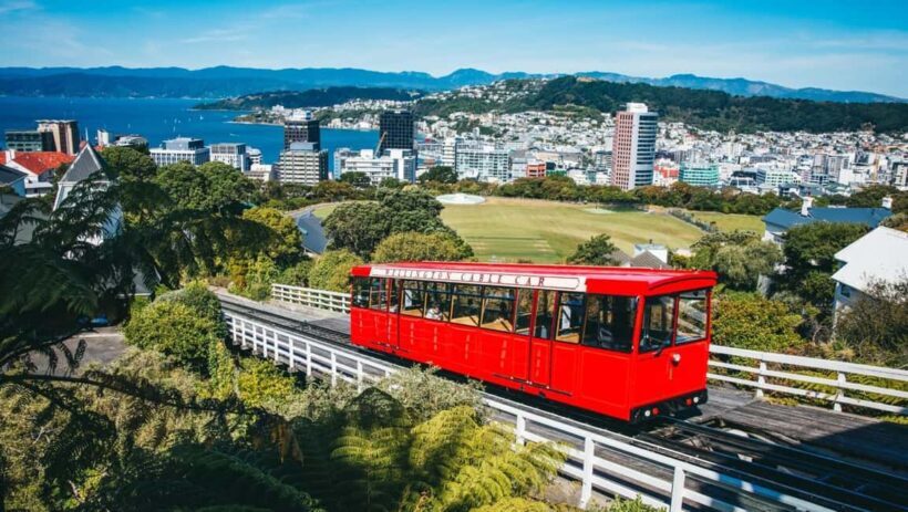 Wellington: Highlights Tour with a Local Guide - Final Thoughts