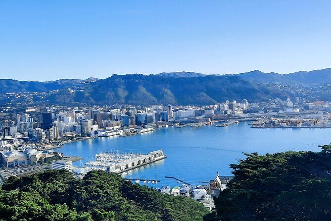 Wellington Movie Magic Private Tour - What’s Included in the Tour?