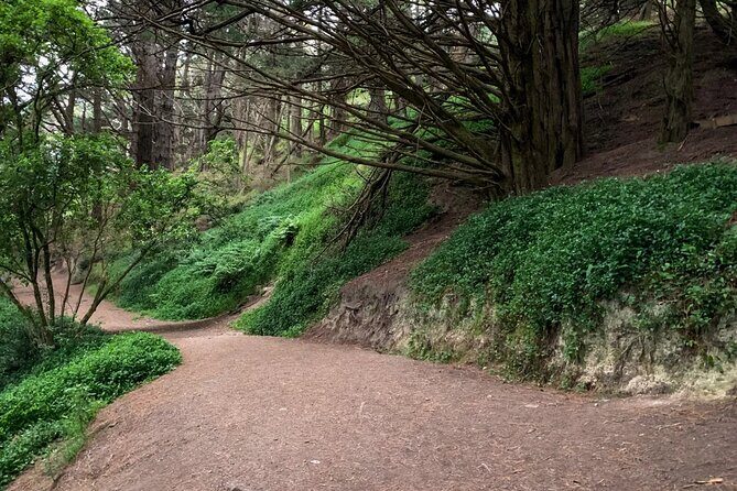 Wellington Movie Magic Private Tour - Frequently Asked Questions