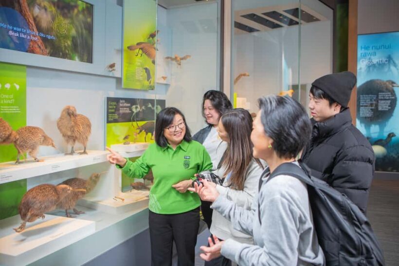 Wellington: Museum of NZ Guided Tour & General Admission - What You Can Expect from the Wellington Museum of NZ Guided Tour