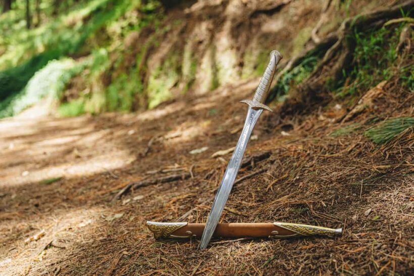 Wellington: Original LOTR Half-Day Experience with Weta - Practical Tips for Making the Most of Your Tour
