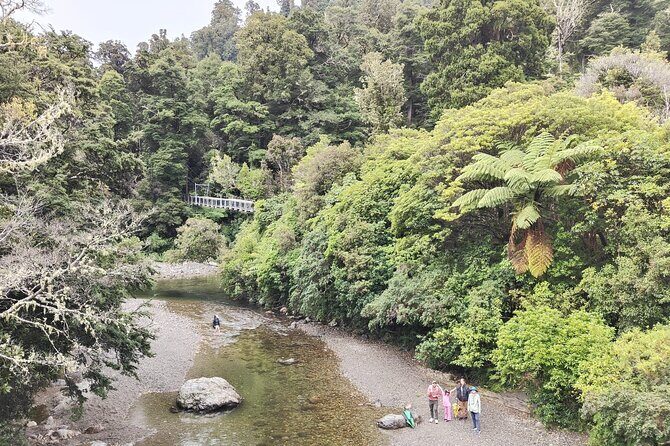 Wellington Region Full Day Private Tour: Get out of the City - Who Will Enjoy This Tour?