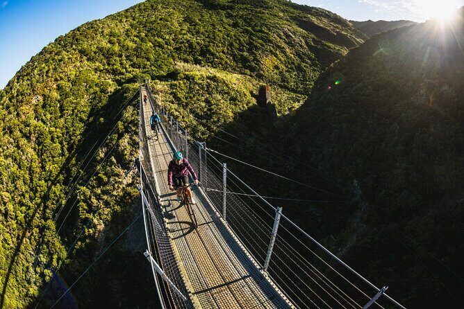 Wellington Remutaka Rail Trail eBike Cycle Tour - Key Points