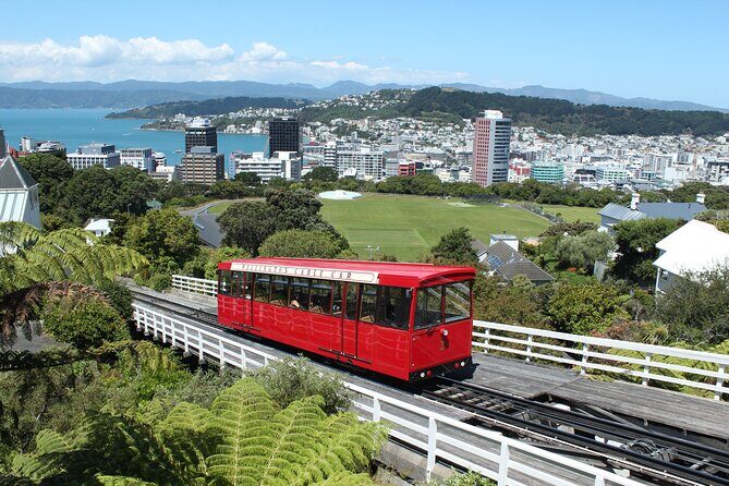 Wellington Scenic Full Day Tour - Who Will Love This Tour?