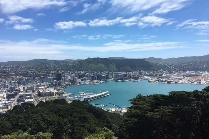 Wellington Scenic Full Day Tour - Key Points