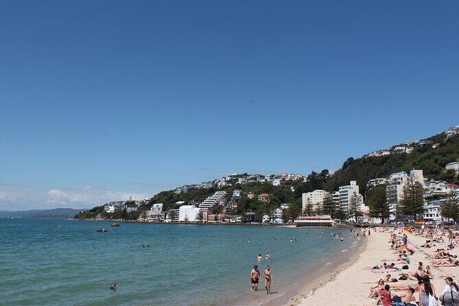 Wellington Scenic Full Day Tour - Who Should Consider This Tour?