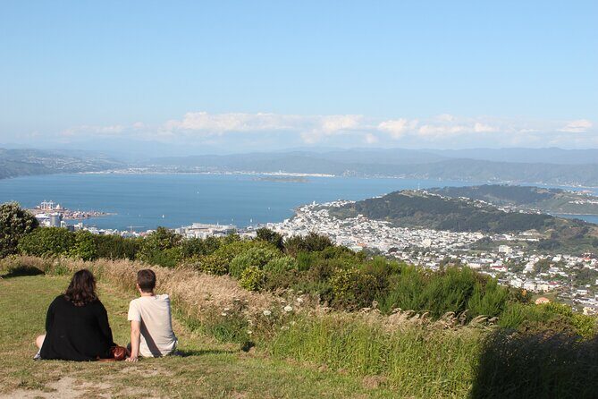Wellington Scenic Full Day Tour - FAQs