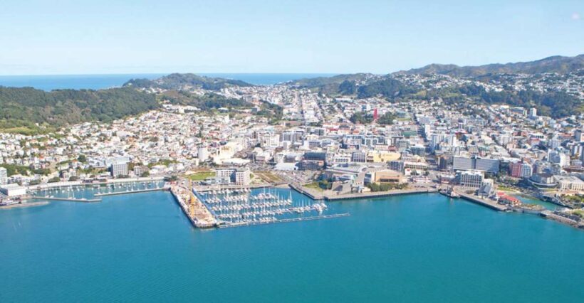Wellington: Scenic South Coast Discovery Helicopter Flight - What to Expect on This Scenic Flight