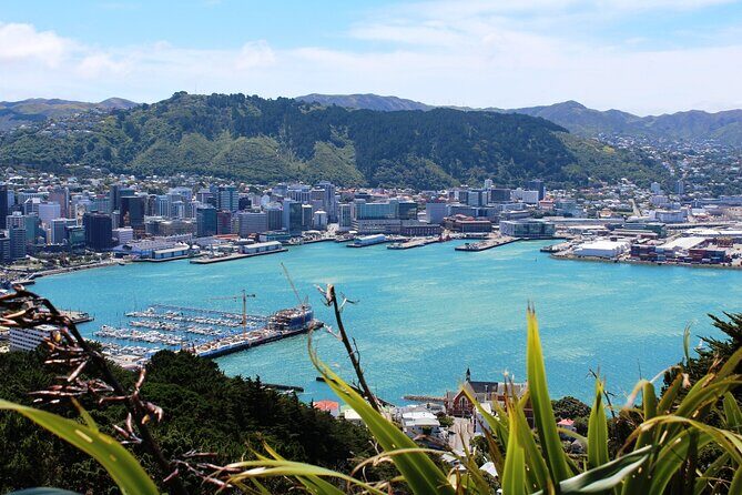 Wellington Shore Excursion City Sightseeing Tour - Who Should Consider This Tour?