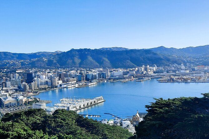 Wellington Shore Excursion: From Cave to Coast Highlights Private Tour - Value and Practicalities