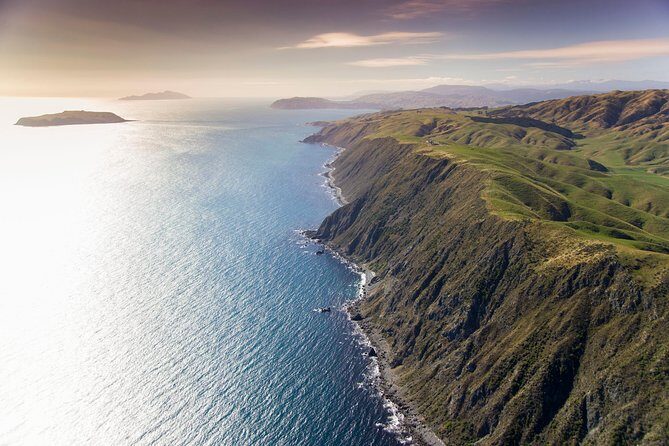 Wellington South Coast Discovery Helicopter Flight - An In-Depth Look at the Wellington South Coast Discovery Helicopter Flight