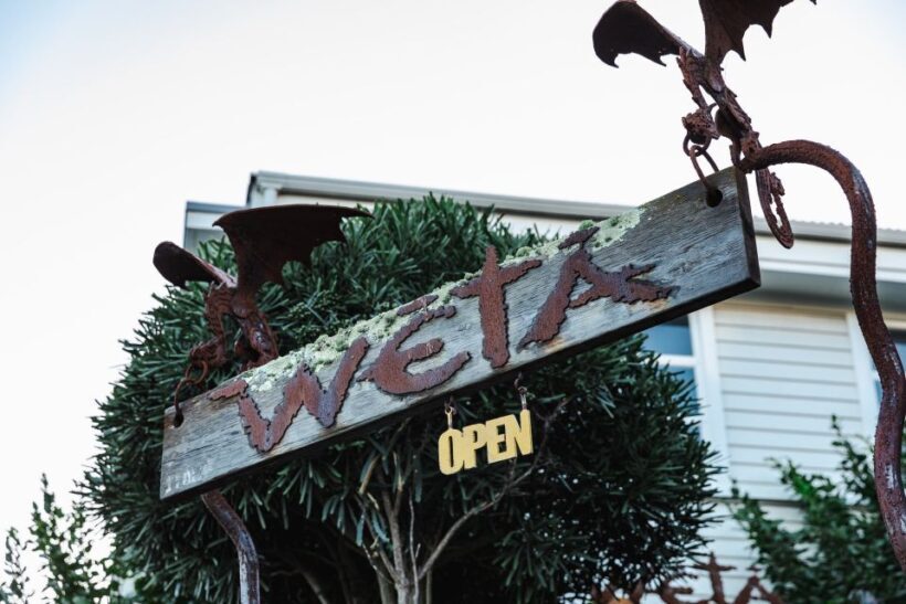 Wellington: Wt Workshop Guided Tour Ticket - The Cost and Value