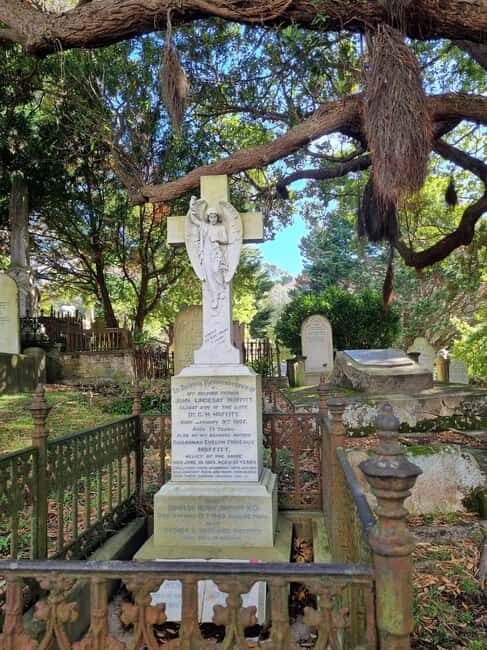 Wellington's Historical Walking Odyssey - A Closer Look at Wellingtons Historical Walking Odyssey