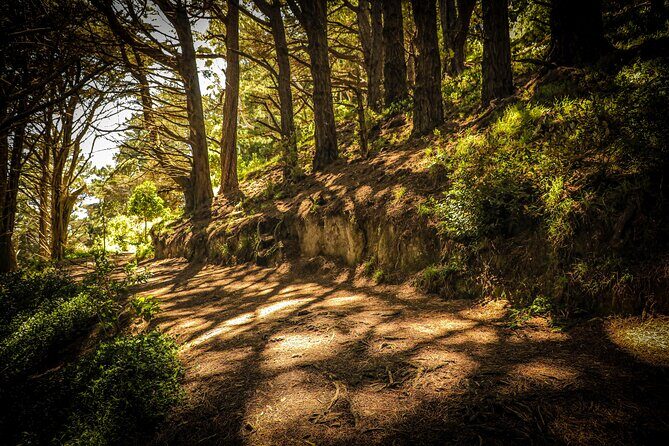 Wellington's Original HD LOTR Experience - includes Weta Tour - FAQ