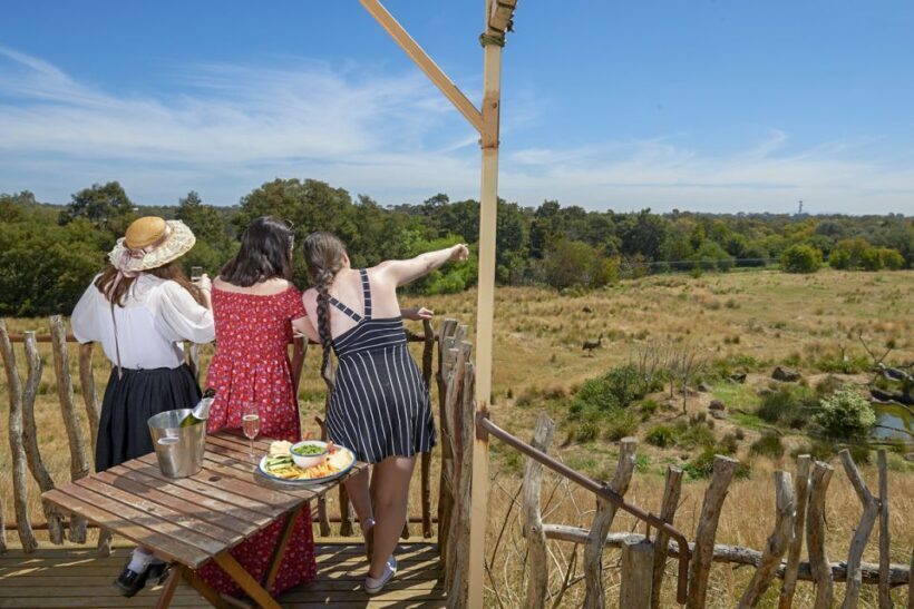 Werribee Open Range Zoo: Entry Ticket - The Sum Up