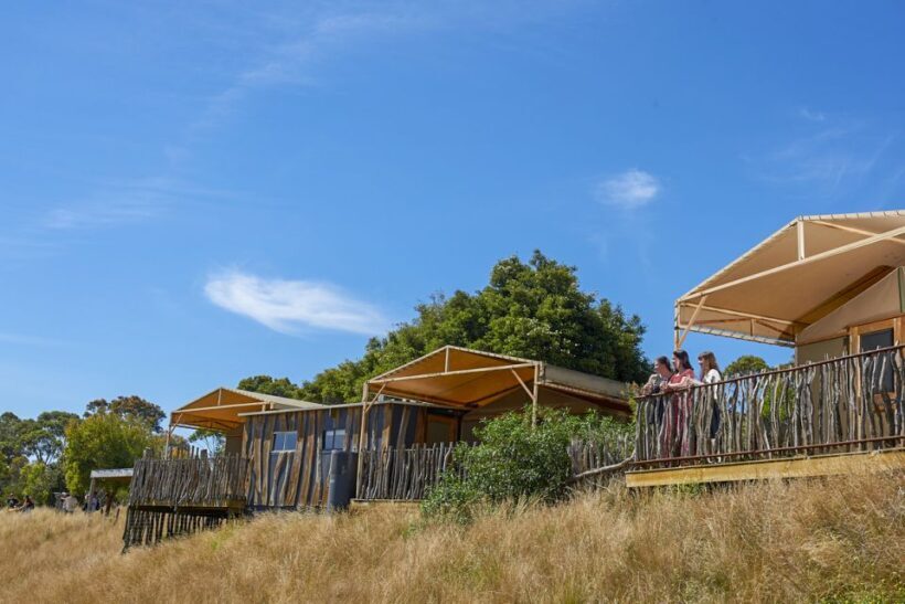 Werribee Open Range Zoo: Entry Ticket - FAQ
