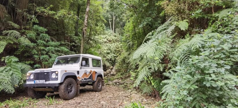 West: 4x4 Tour | Seixal Beach | Porto Moniz Natural Pools | - The Value of This Tour