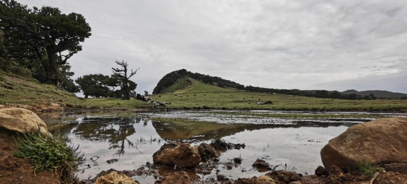 West: 4x4 Tour | Seixal Beach | Porto Moniz Natural Pools | - Who Should Consider This Tour?