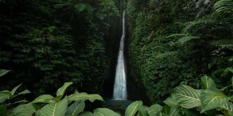 West Bali: Jatiluwih Rice Terrace and Tanah Lot Sunset Tour - What Reviewers Say