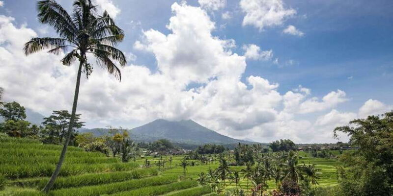 West Bali: Jatiluwih Rice Terrace and Tanah Lot Sunset Tour - FAQ