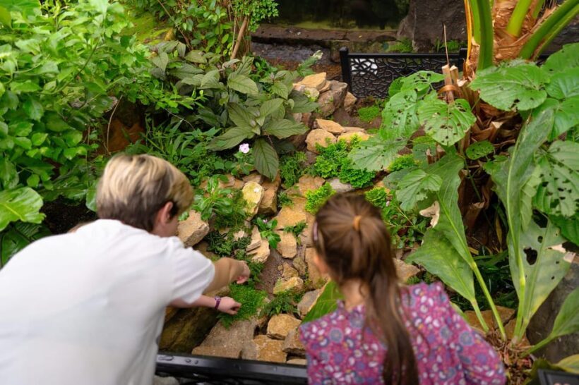 West Berkshire,UK: The Living Rainforest Centre Entry Ticket - A Closer Look at The Living Rainforest Experience