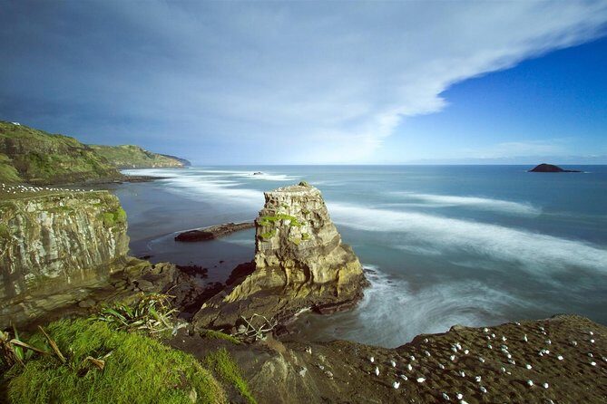 West Coast Discovery - Piha Beach or Muriwai Beach from Auckland - Price and Value