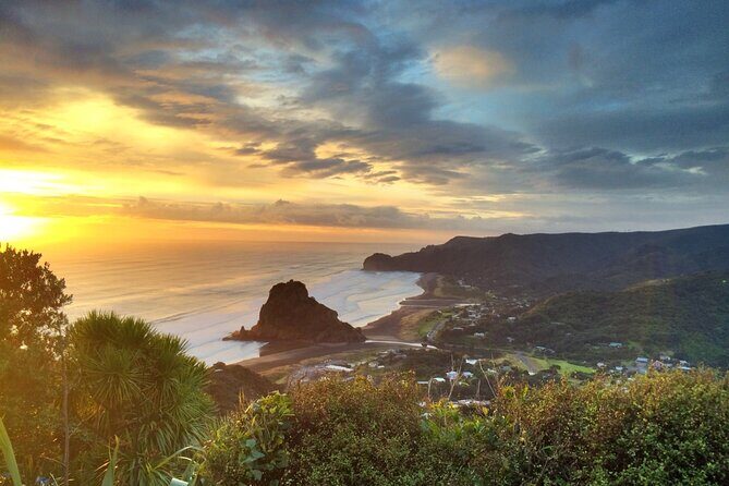 West Coast Discovery Piha Beach Private Tour - The Value of This Tour