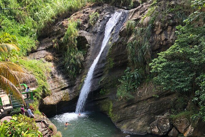 West Coast: Rum Distillery, Concord waterfall, Nutmeg processing - A Complete Breakdown of the Tour