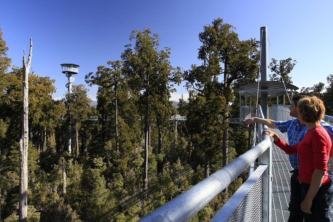 West Coast Tree Top Walk Experience - Key Points