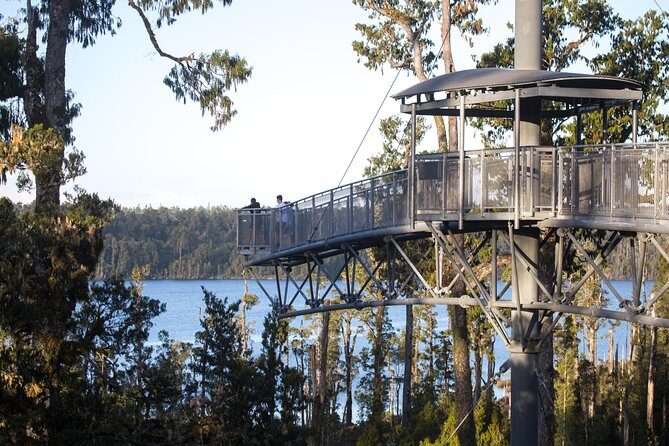 West Coast Tree Top Walk Experience - Who Will Love This Experience?
