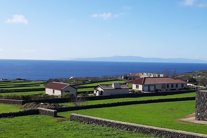 West Coast Van Tour (Half Day) | Terceira Island - Customer Feedback