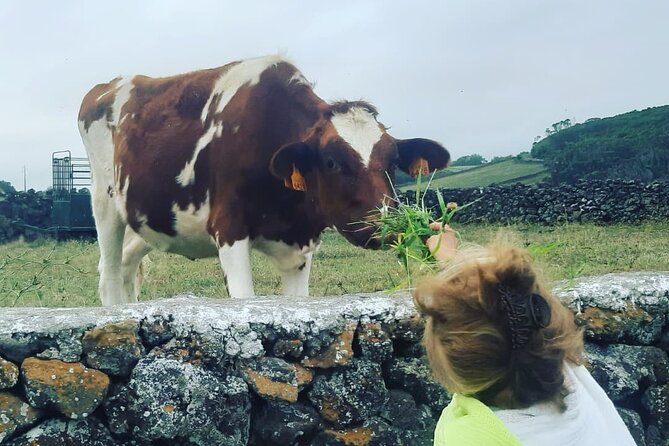 West Coast Van Tour (Half Day) | Terceira Island - Explore Monte Brasil