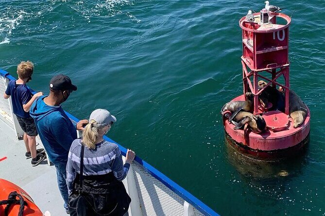 West Harbor LA 45-Minute Narrated Harbor Cruise of San Pedro - FAQs