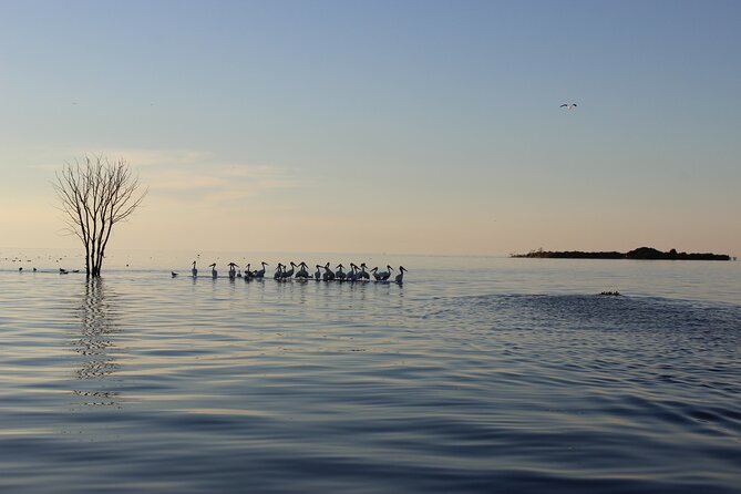West Islands & Eagle Bluff Lighthouse Cruise - Key Points