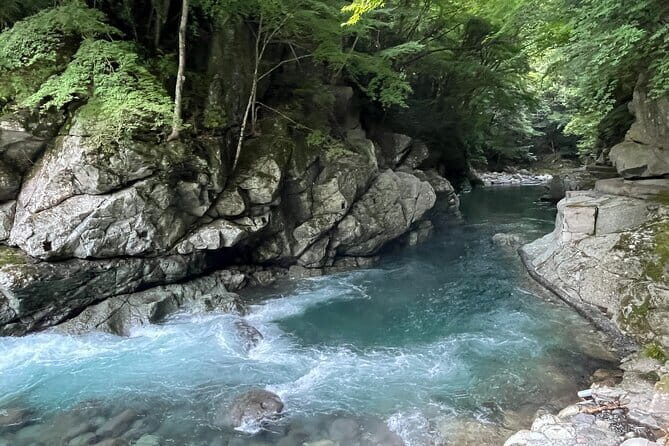 West IZU Uncovered Tour Cave Cruise and Monkey Encounter - Exploring Izu’s Natural and Cultural Highlights
