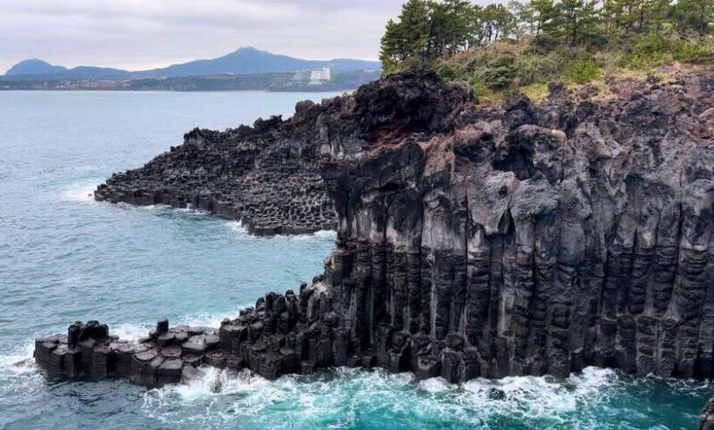 West Jeju Cherry Blossom Strawberry Picking Small Group Tour - The Sum Up