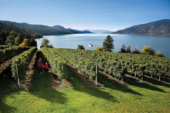West Kelowna Wine Trail - Visit 5 wineries - The Overview and Appeal