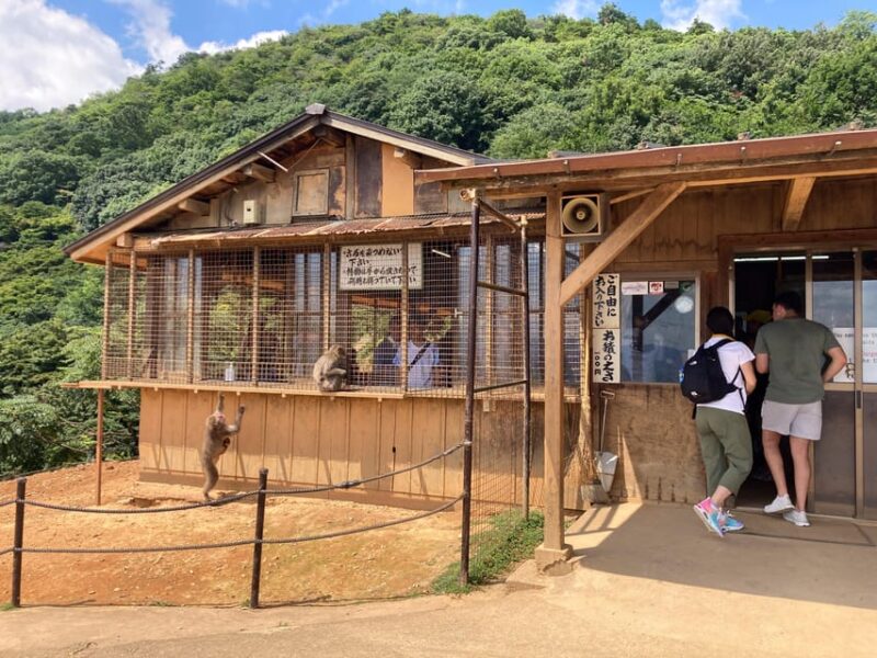 West Kyoto & Arashiyama: Walking Tour W/Matcha & Calligraphy - Otagi Nenbutsu-ji Temple